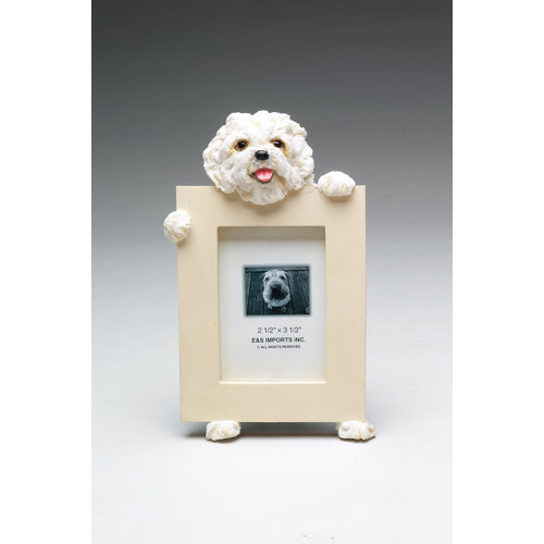 3" x 3" Picture Frames You'll Love | Wayfair