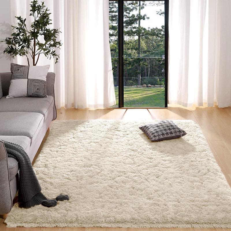 Canora Grey Adelah Soft & Fluffy Indoor / Outdoor Living Room Area Rug ...