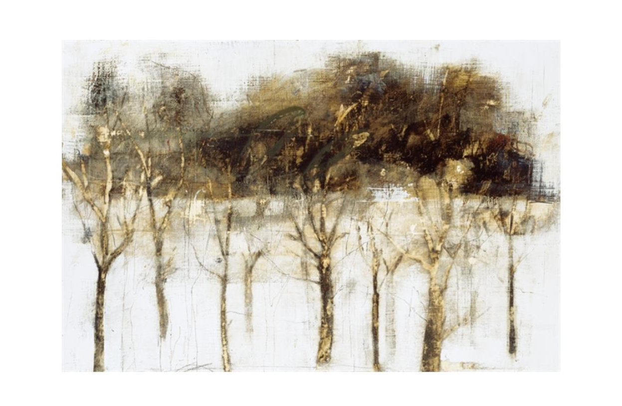 Chelsea Art Studio Tree Kingdom I by Patrick Wright - Graphic Art | Wayfair