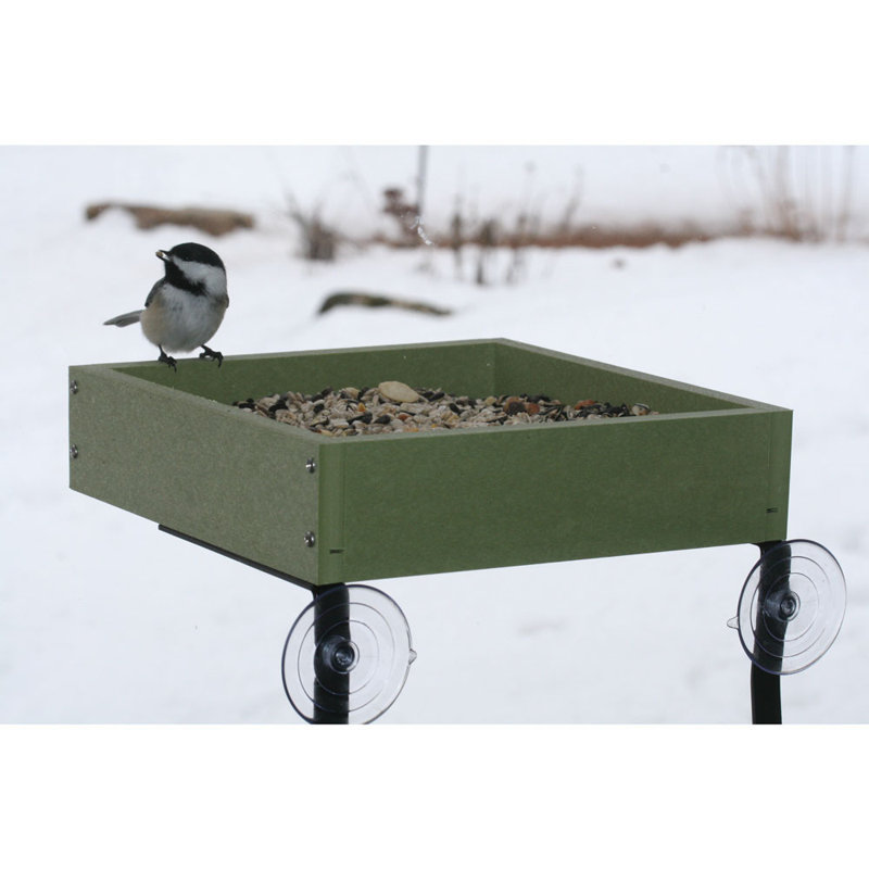 Birds Choice Window Platform Bird Feeder in Recycled Plastic & Reviews ...