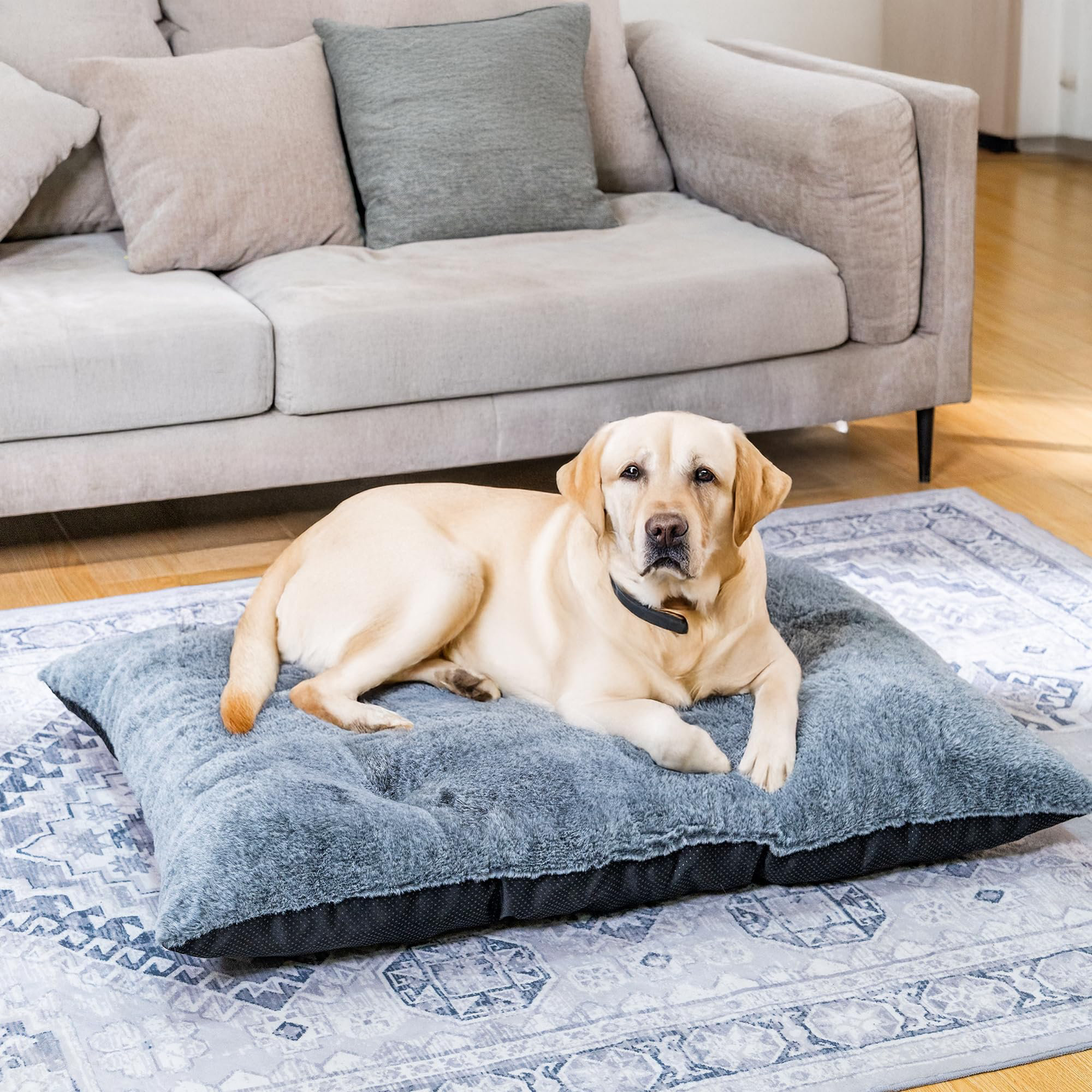Tucker Murphy Pet™ Waterproof Memory Foam Dog Bed Pad | Wayfair
