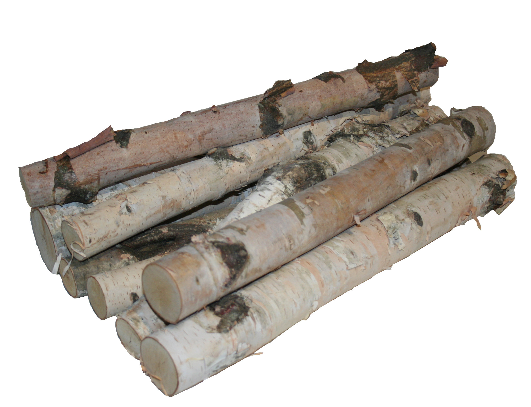 Loon Peak® Wilson Decorative White Birch Log Bundle, Natural Bark Wood ...