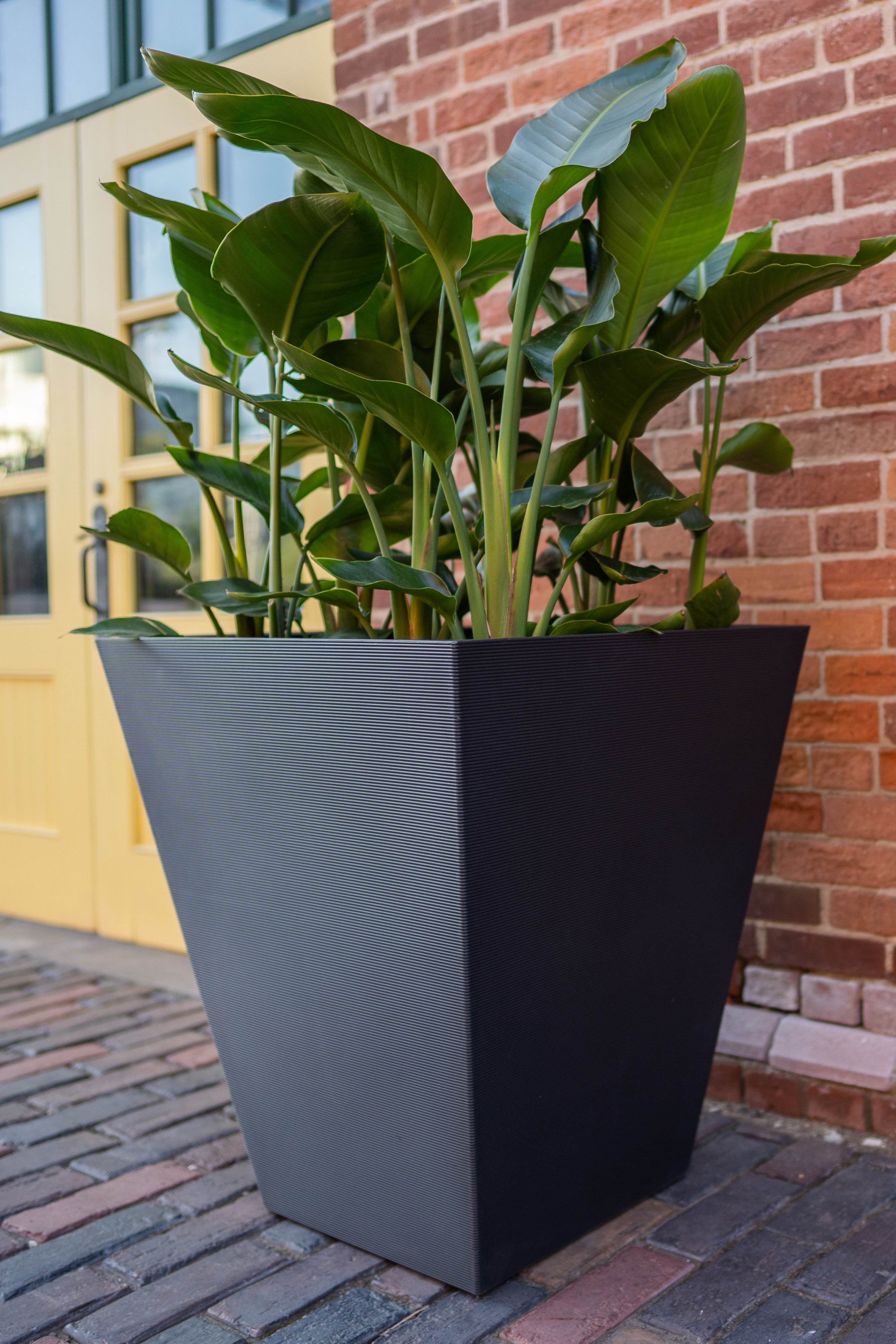 Veradek Pro Series Linear Thirty Planter & Reviews - Wayfair Canada