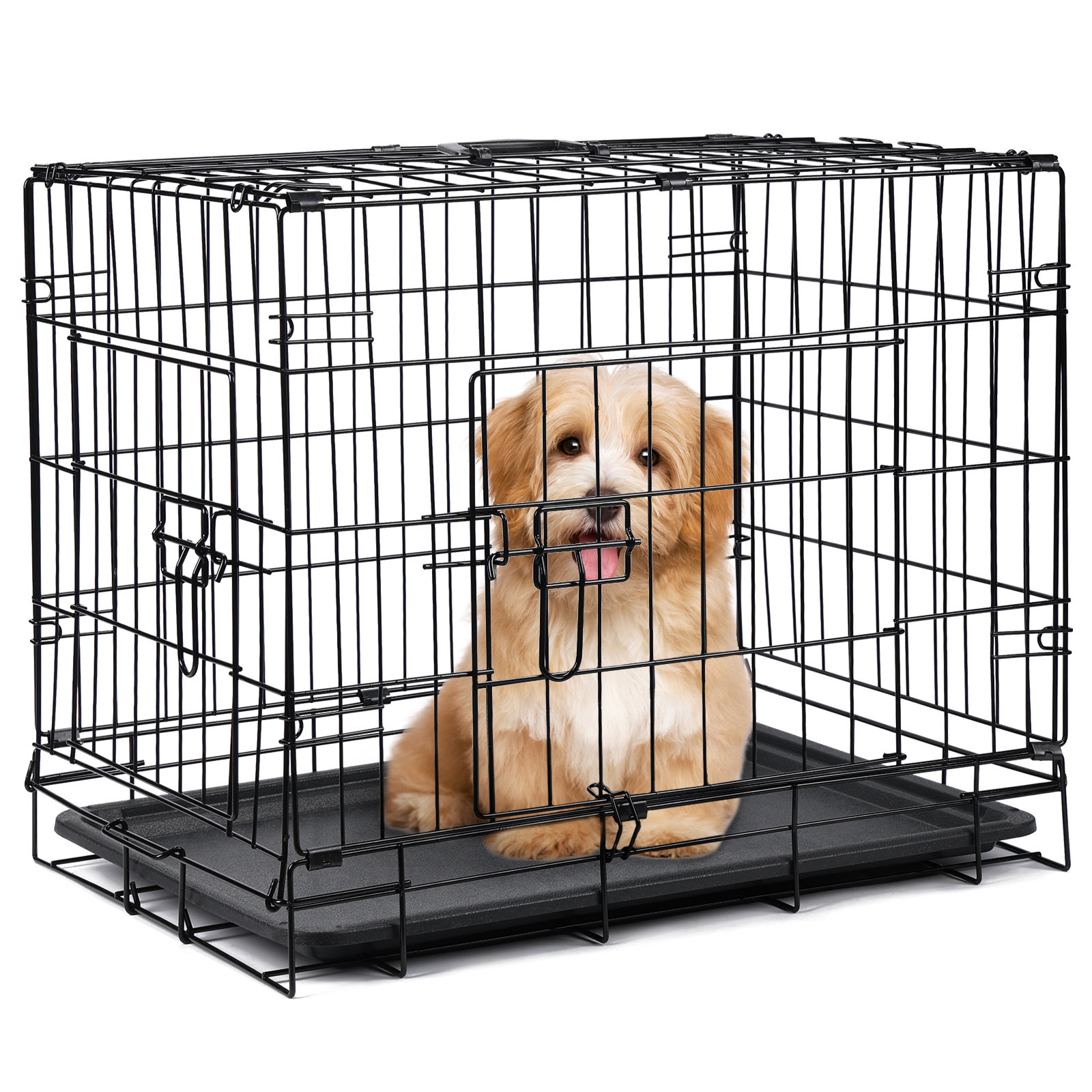 Tucker Murphy Pet™ Henris Foldable Metal Dog Crate for Small to Medium ...