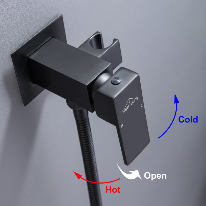 Boyel Living Wall Mounted Hot and Cold Bidet Sprayer Faucet Set ...