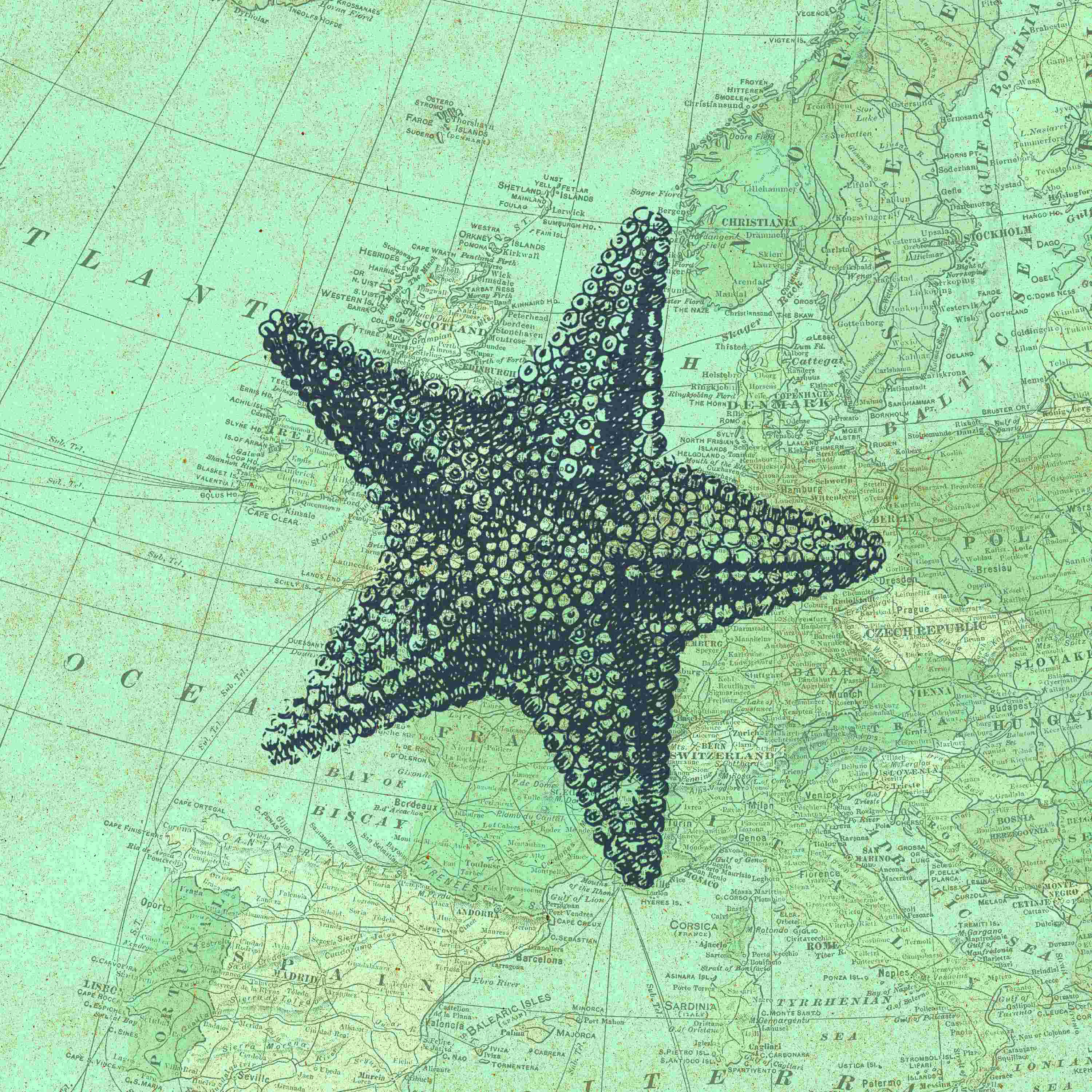 Breakwater Bay Coastal Map Series 17 | Wayfair