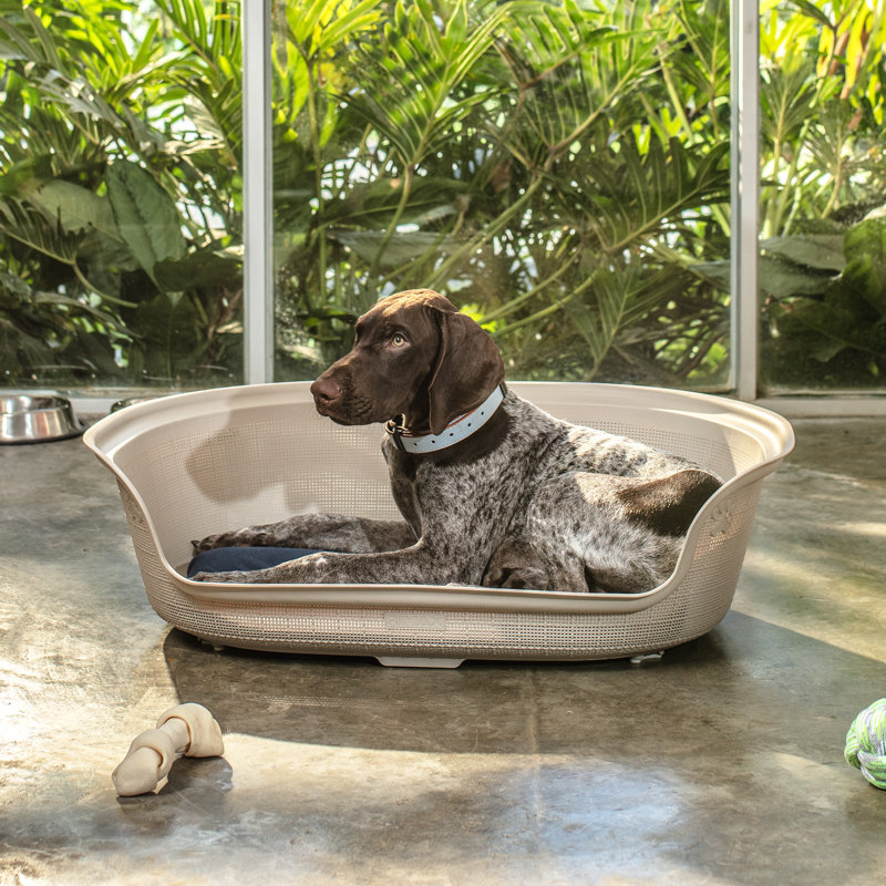 Tucker Murphy Pet™ Plastic Medium Dog Bed with Cushion | Wayfair