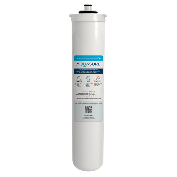 Aquasure Replacement Filter | Wayfair