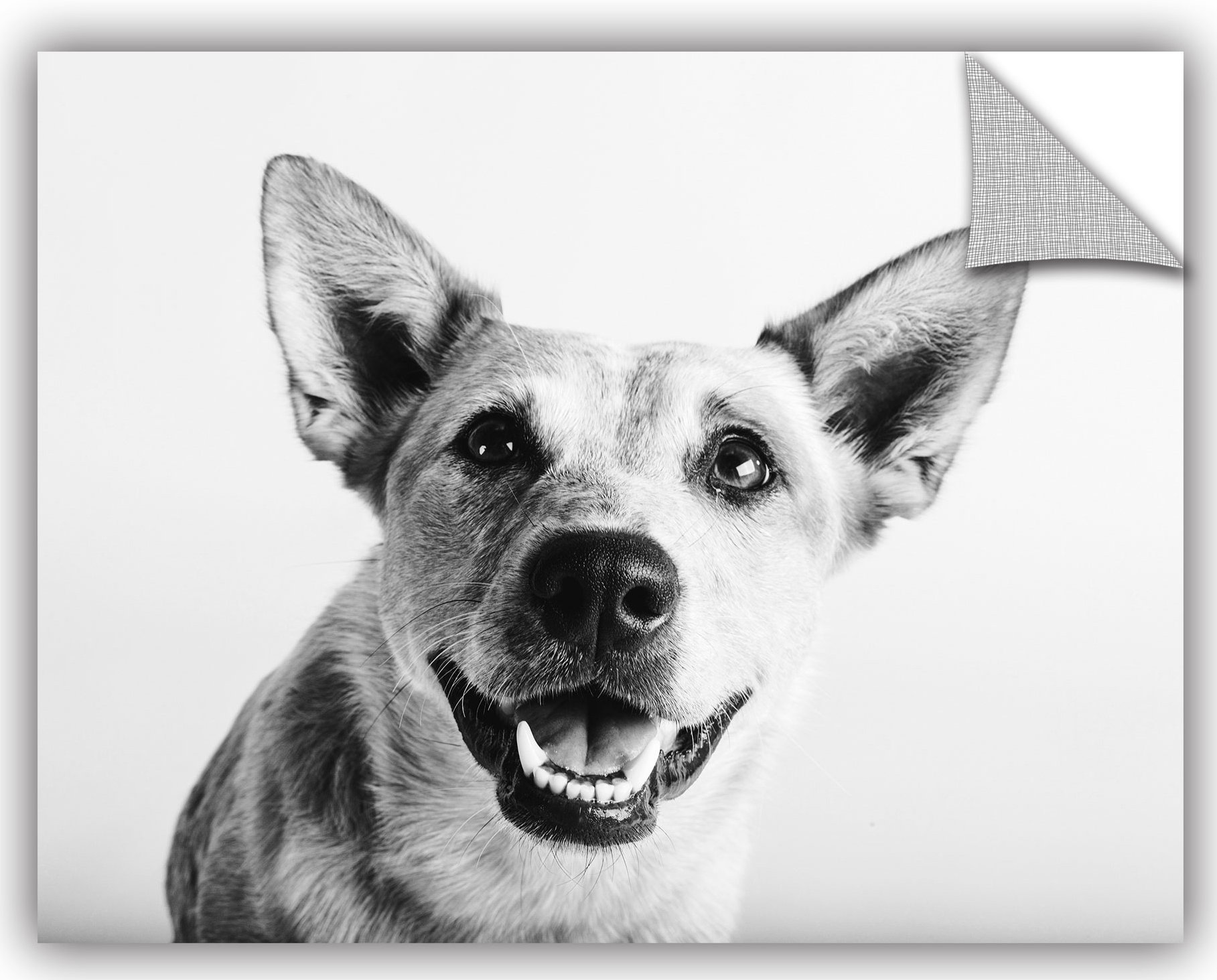 ArtWall Susan Sabo Irma Removable Wall Decal - Wayfair Canada