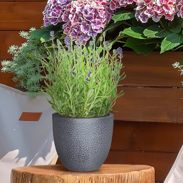 HORTICO Concrete Effect Round Planter, Frostproof Outdoor Plant Pot ...