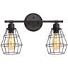 Trent Austin Design® Markovich 2-Light Black Vanity Light & Reviews ...