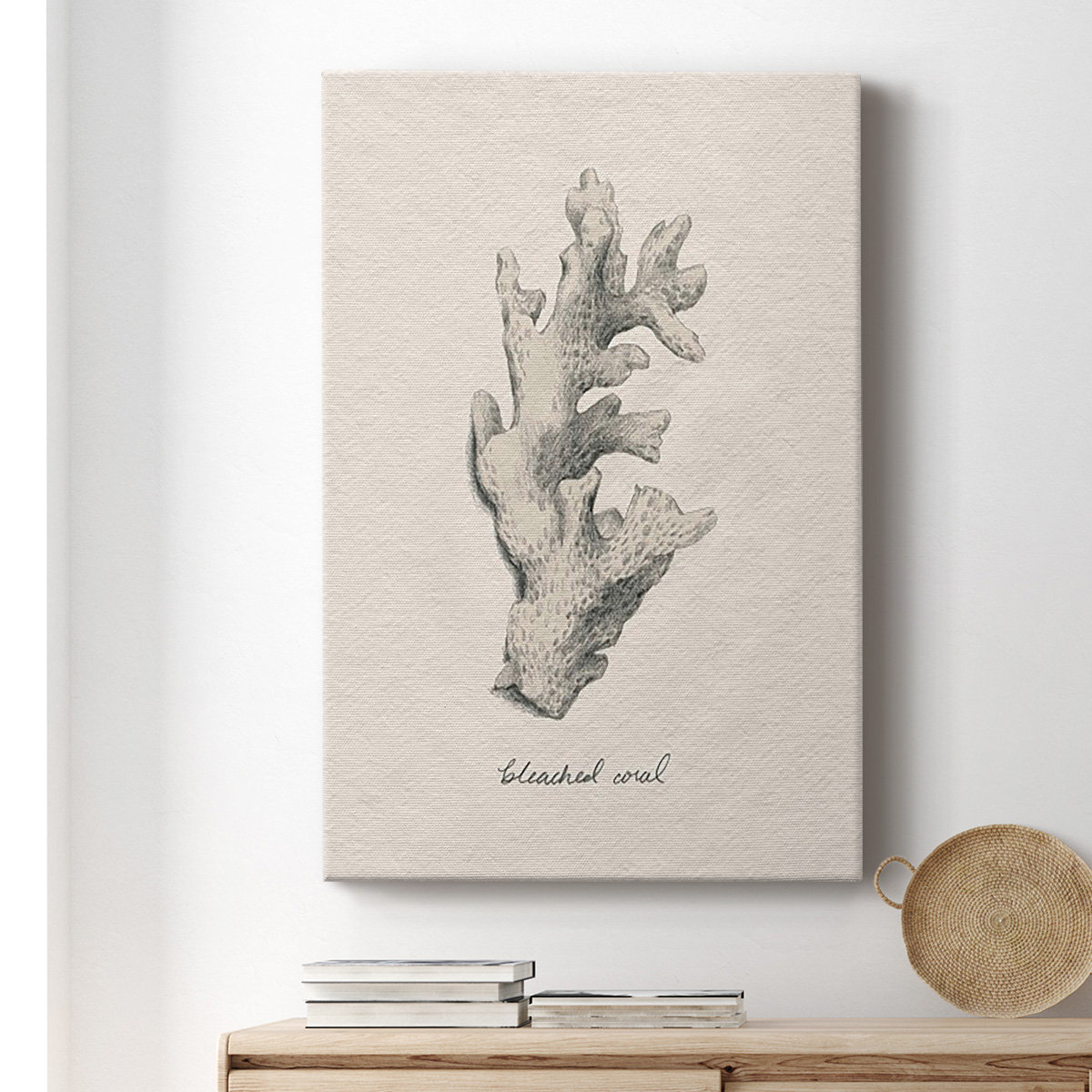 Dovecove Shore Treasure Study II On Canvas Print | Wayfair