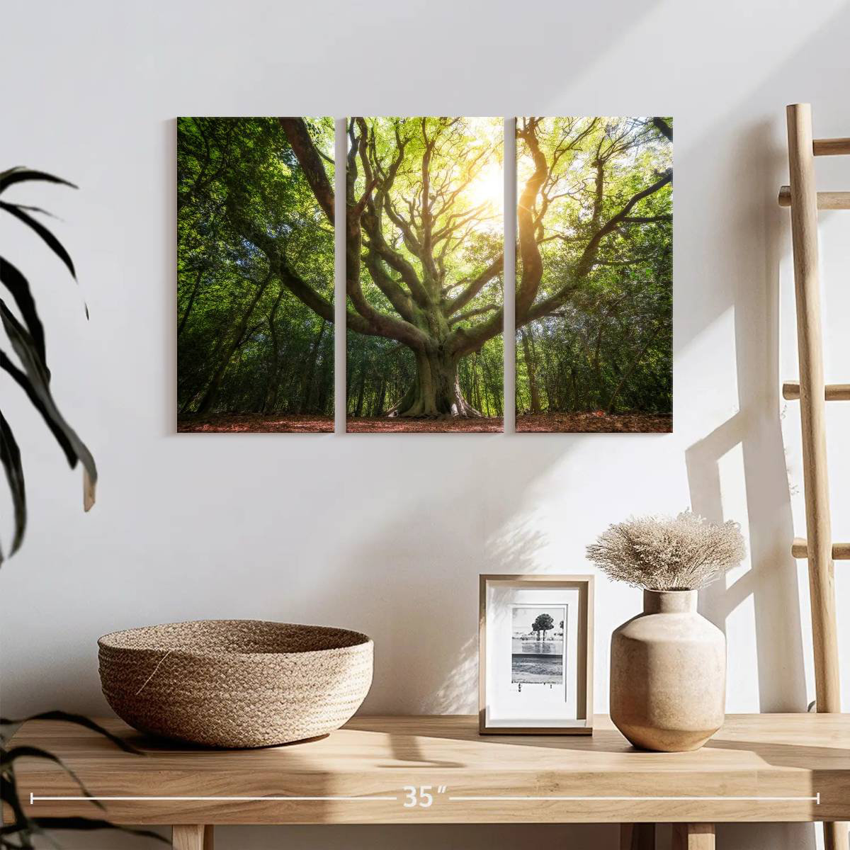 Elephant Stock Big Old Broceliande Beech Tree | Wayfair