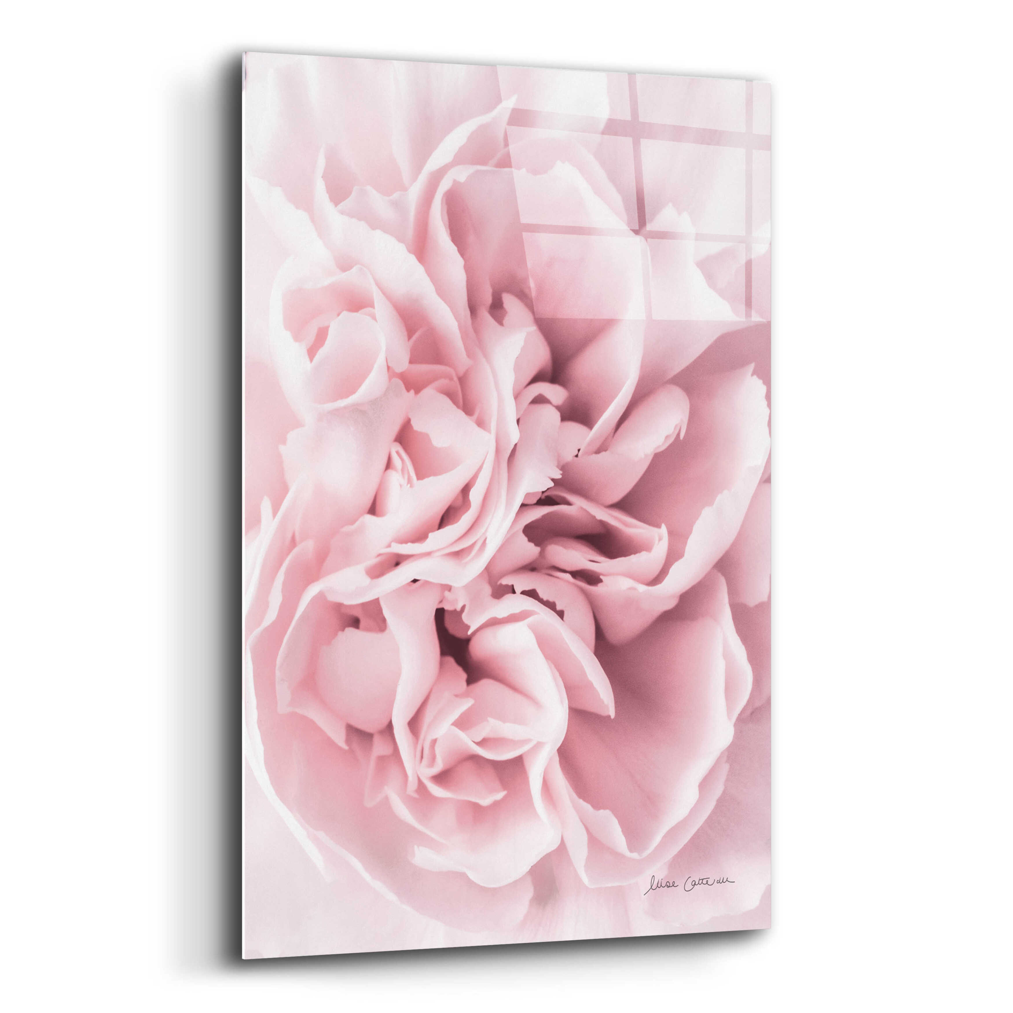 House of Hampton® 'Pink Carnation Crop' By Elise Catterall, Acrylic ...
