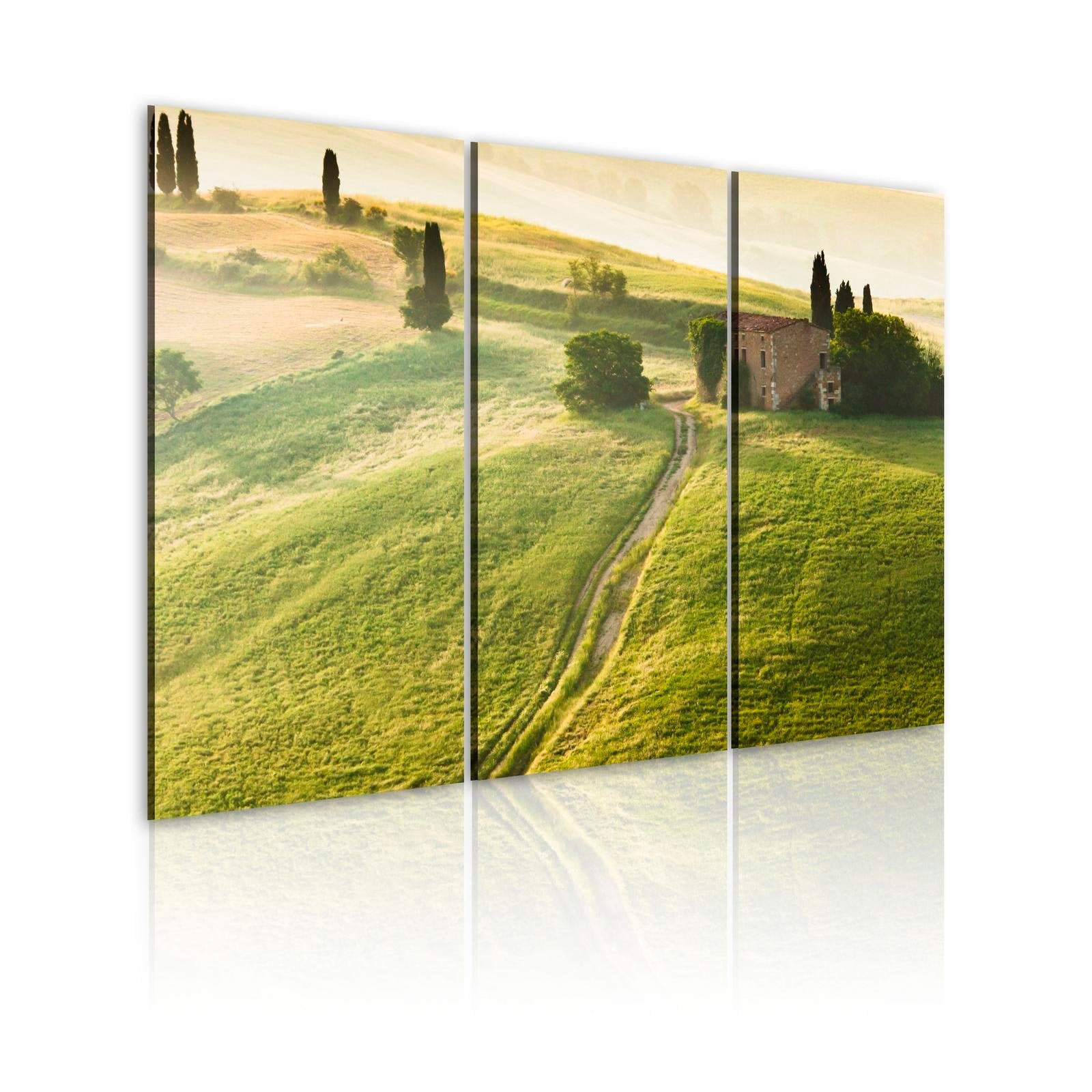 Latitude Run® Gerrald Under The Tuscan Sun On Canvas 3 Pieces Print ...