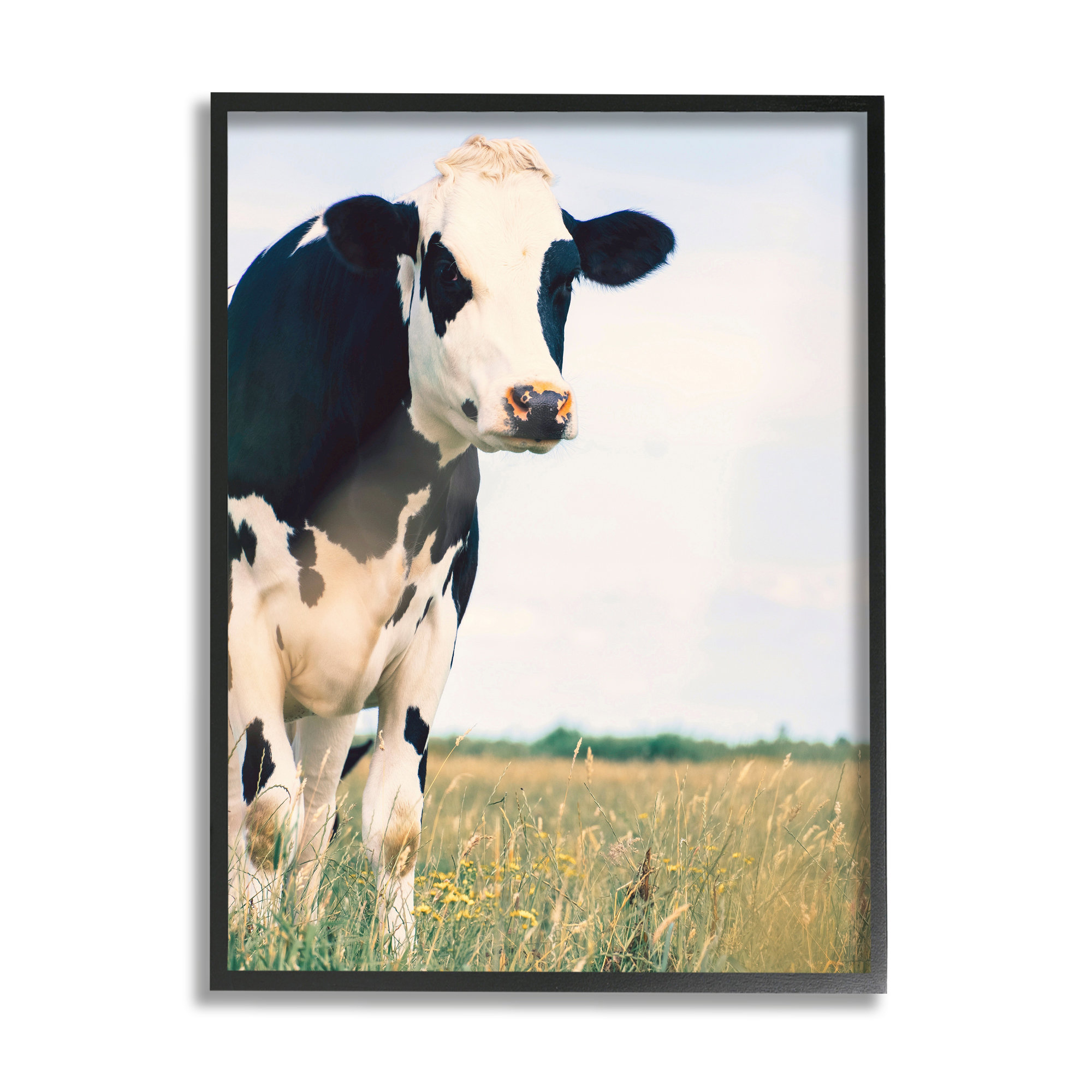Stupell Industries Country Farm Cow Photography Framed On Wood by ...