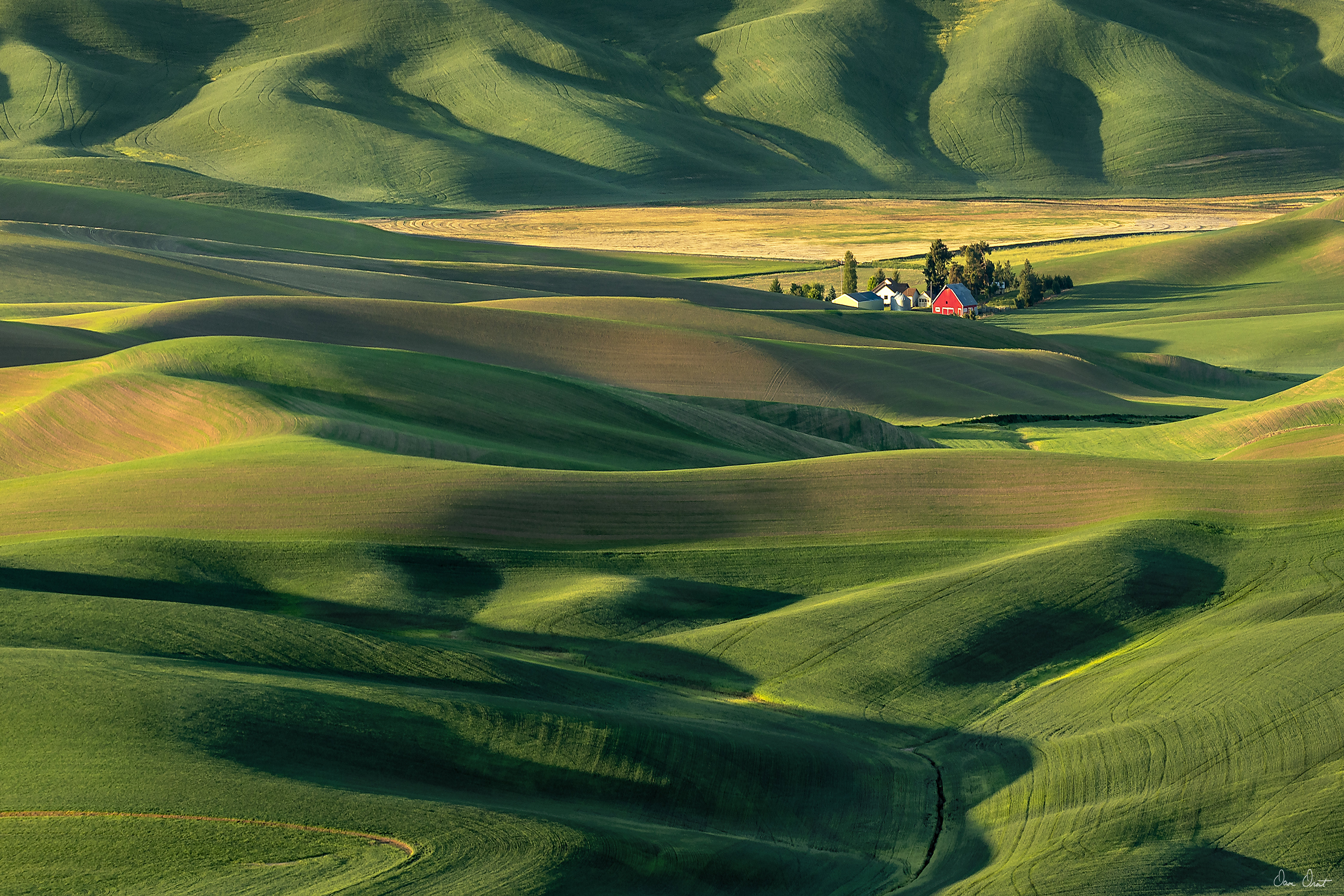 Winston Porter Orren The Palouse Countryside II by David Drost | Wayfair
