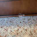 Wildon Home® Chad Block 2 - Drawer Solid End Table, No Assembly ...