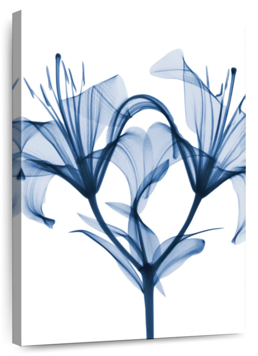 Lark Manor™ Harnek Indigo Lily | Wayfair