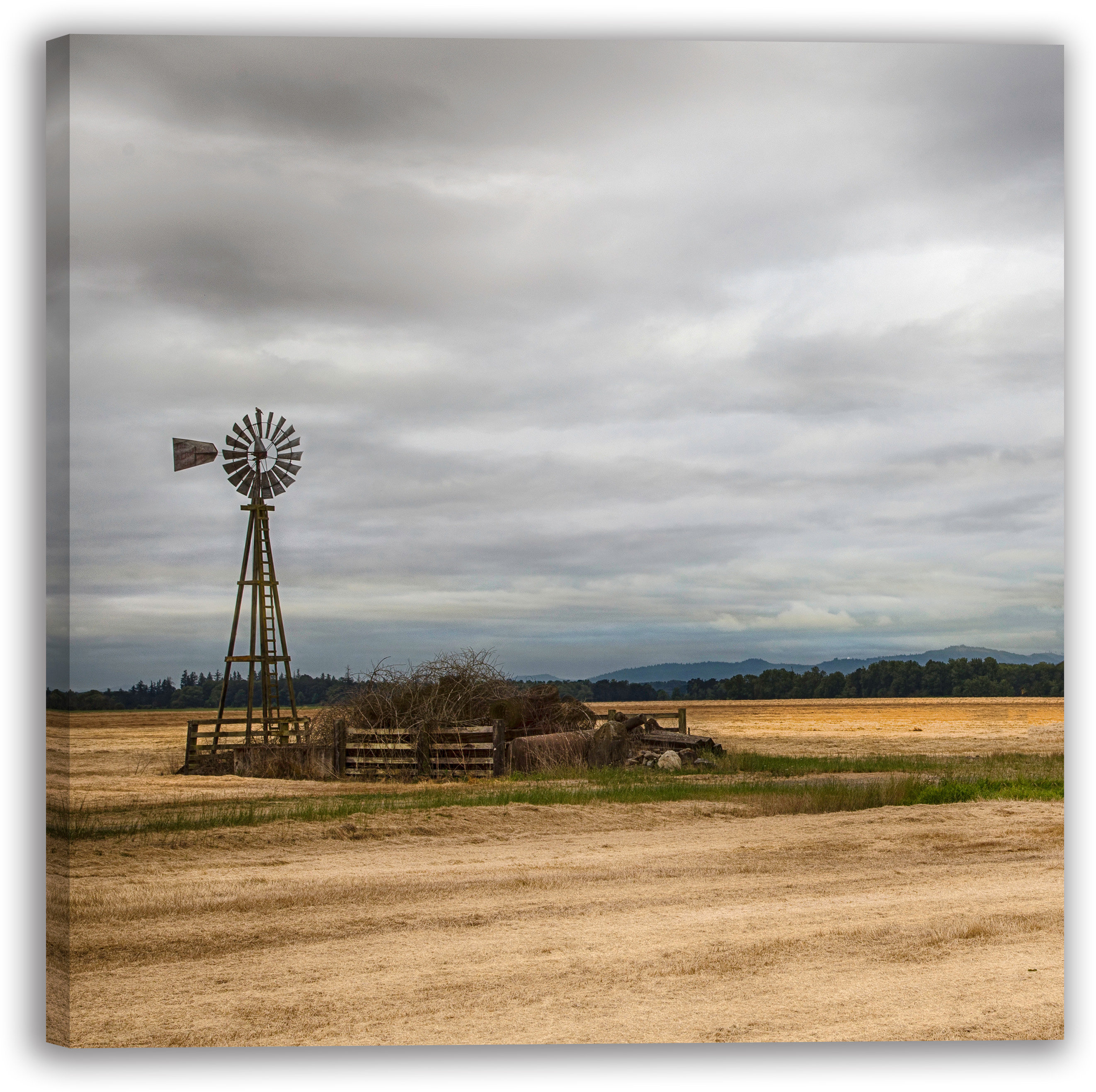 Gracie Oaks Rustic Windmill in Open Field Wrapped Canvas Wall Art | Wayfair