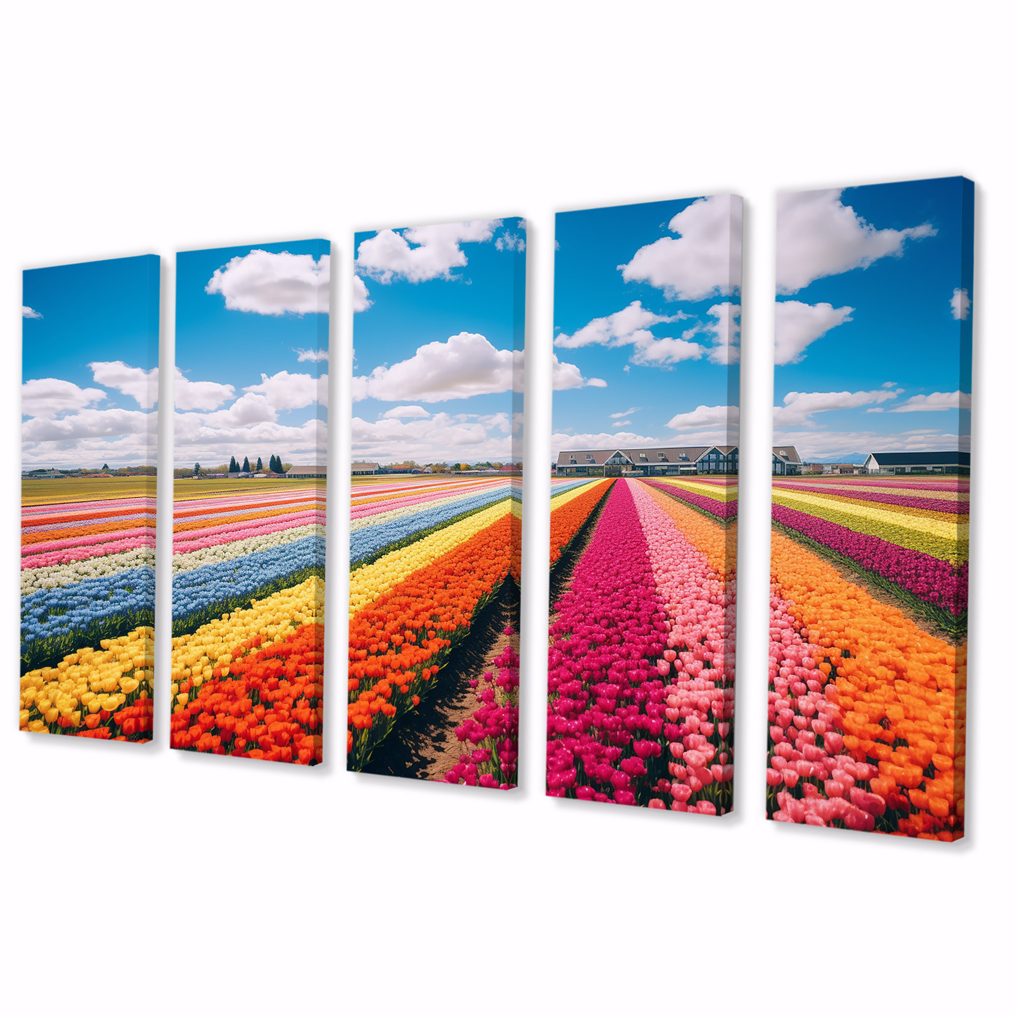 Lark Manor™ Colorful Tulip Fields II - Tulip 5 Piece Wall Art For ...