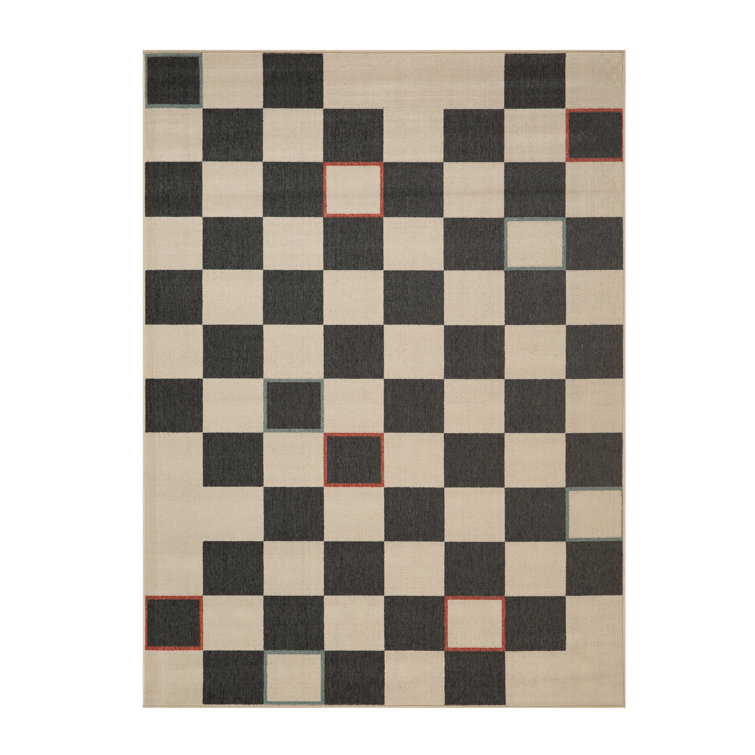 Evette Rios Mapa Modern Checkered Indoor/Outdoor Performance Area Rug ...