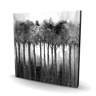 Begin Edition International Inc. Monochrome Trees - Gray Canvas Art for ...