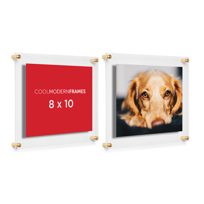 Cool Modern Frames Clear Acrylic Floating Picture Frame & Reviews | Wayfair