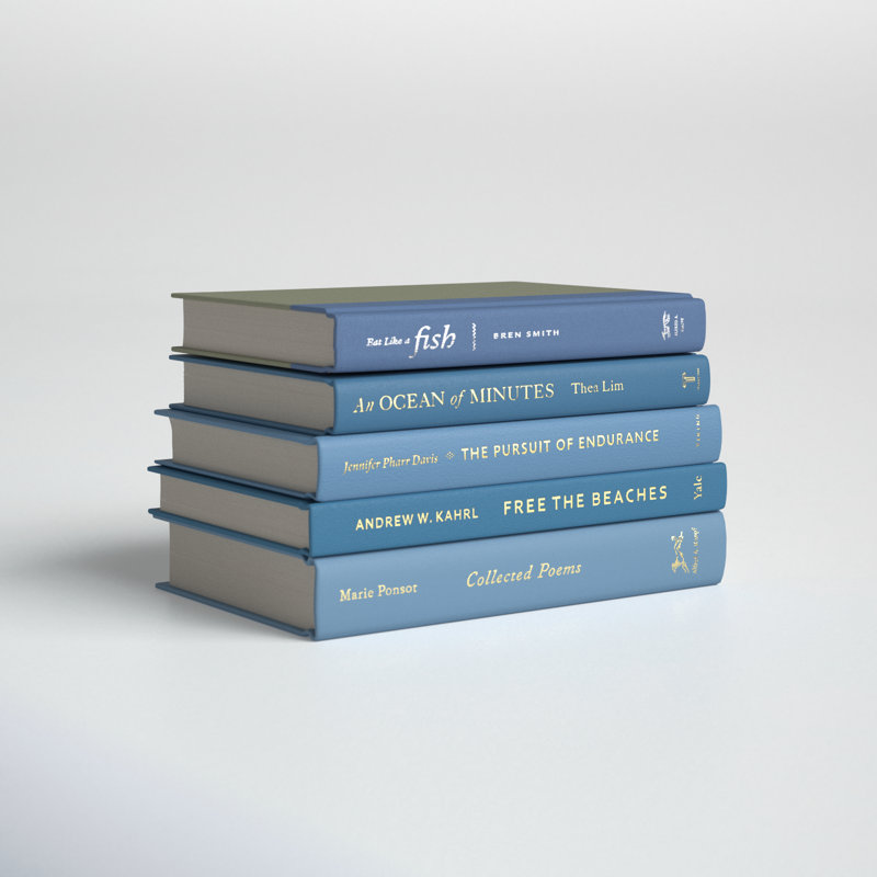 Birch Lane™ Bingham Modern 5 Piece Decorative Book & Reviews | Wayfair