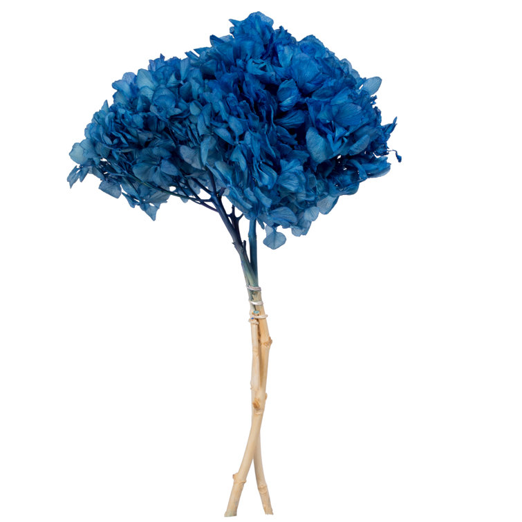 Primrue Natural Botanicals 15" Hydrangea with Multiple Branch Segments ...