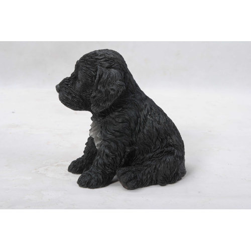 Hi-Line Gift Ltd. Sitting Cockapoo Puppy Statue & Reviews | Wayfair