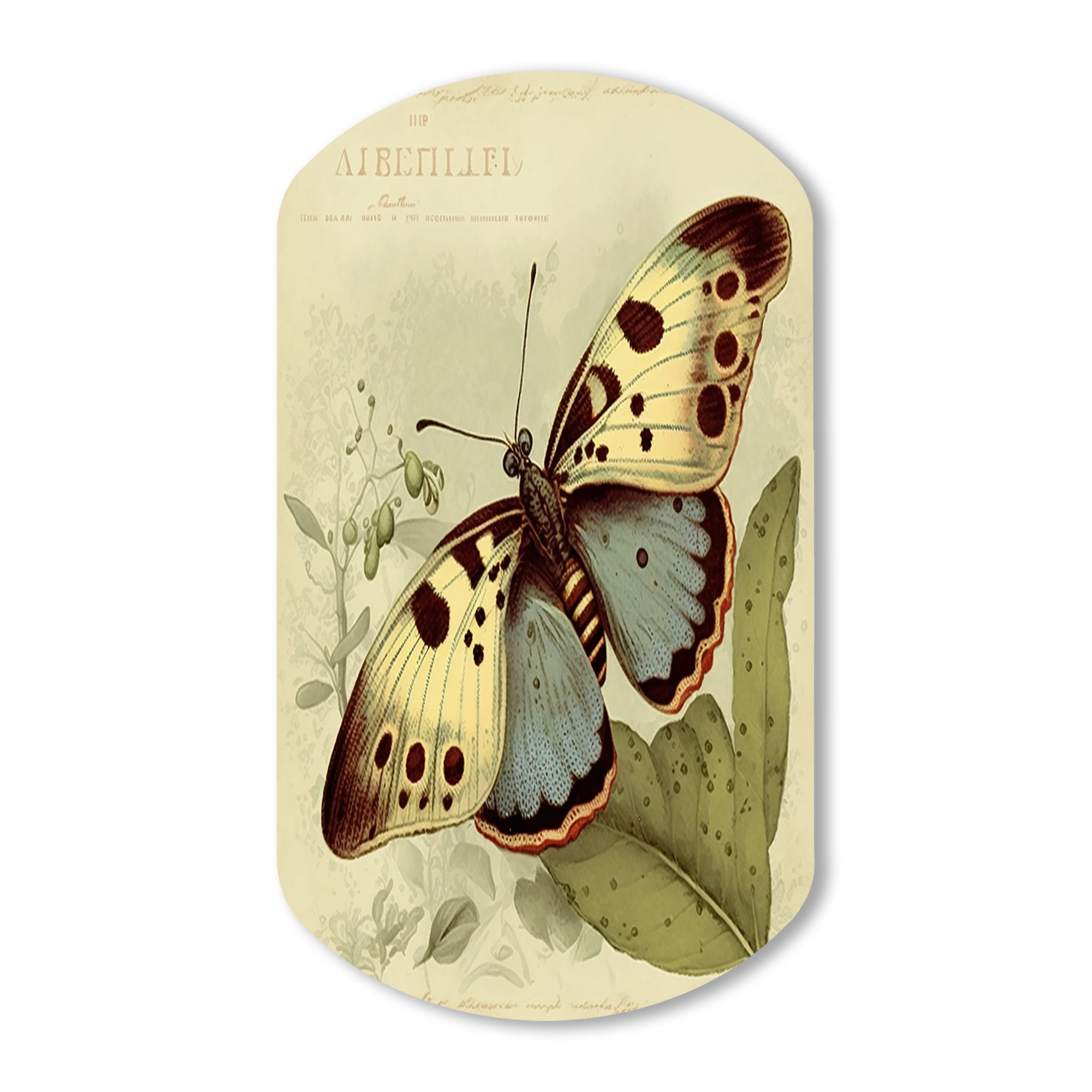 August Grove® Dontrelle - Animals Butterfly Cylinder Shape Assymterical ...