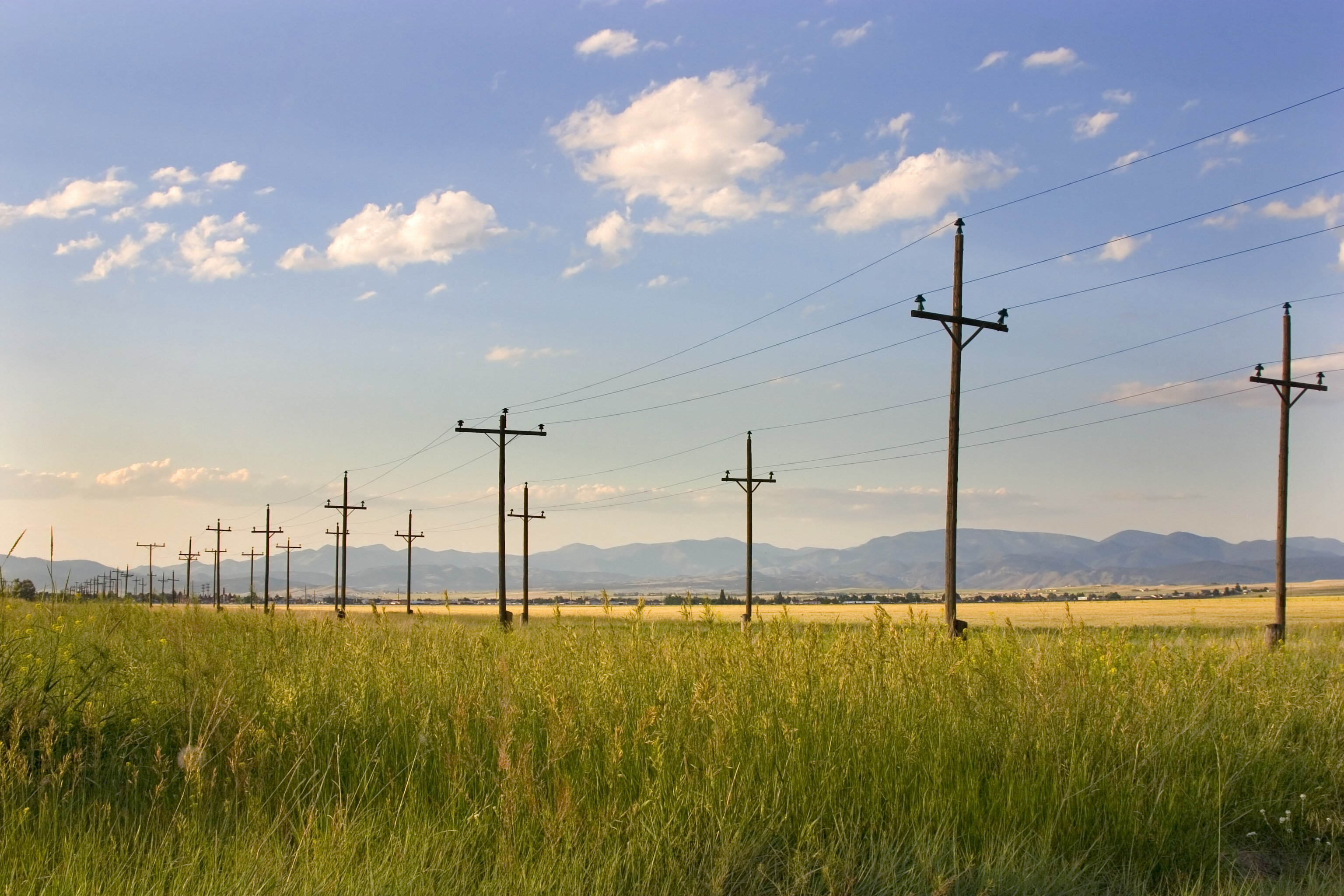 Ebern Designs Electric Posts in Field by Mdilsiz - Wrapped Canvas ...