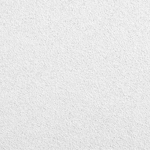 Armstrong Ceilings Lay-In and Tegular Beveled Tegular 15/16 2 ft. x 2 ...