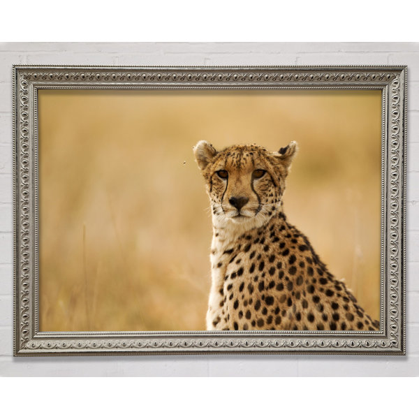 Ebern Designs Proud Cheetah - Single Picture Frame Art Prints | Wayfair ...