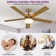 Ebern Designs 52" Gold Ceiling Fan 5 Blade Modern Large Reversible ...