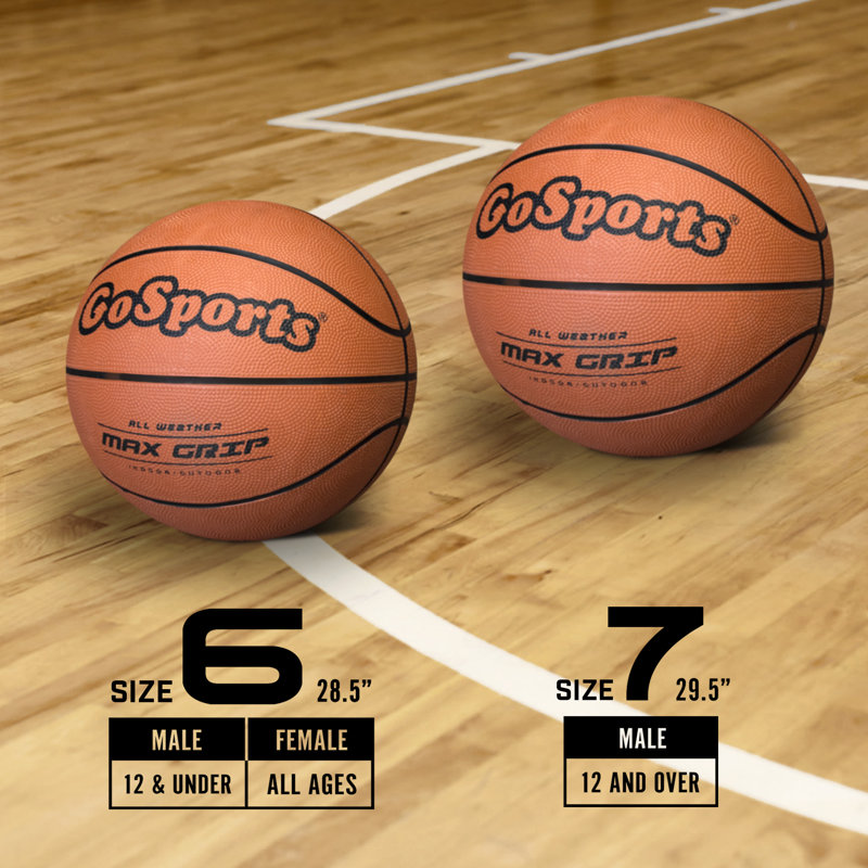 GoSports 7 Inch Mini Basketball with Premium Pump | Wayfair