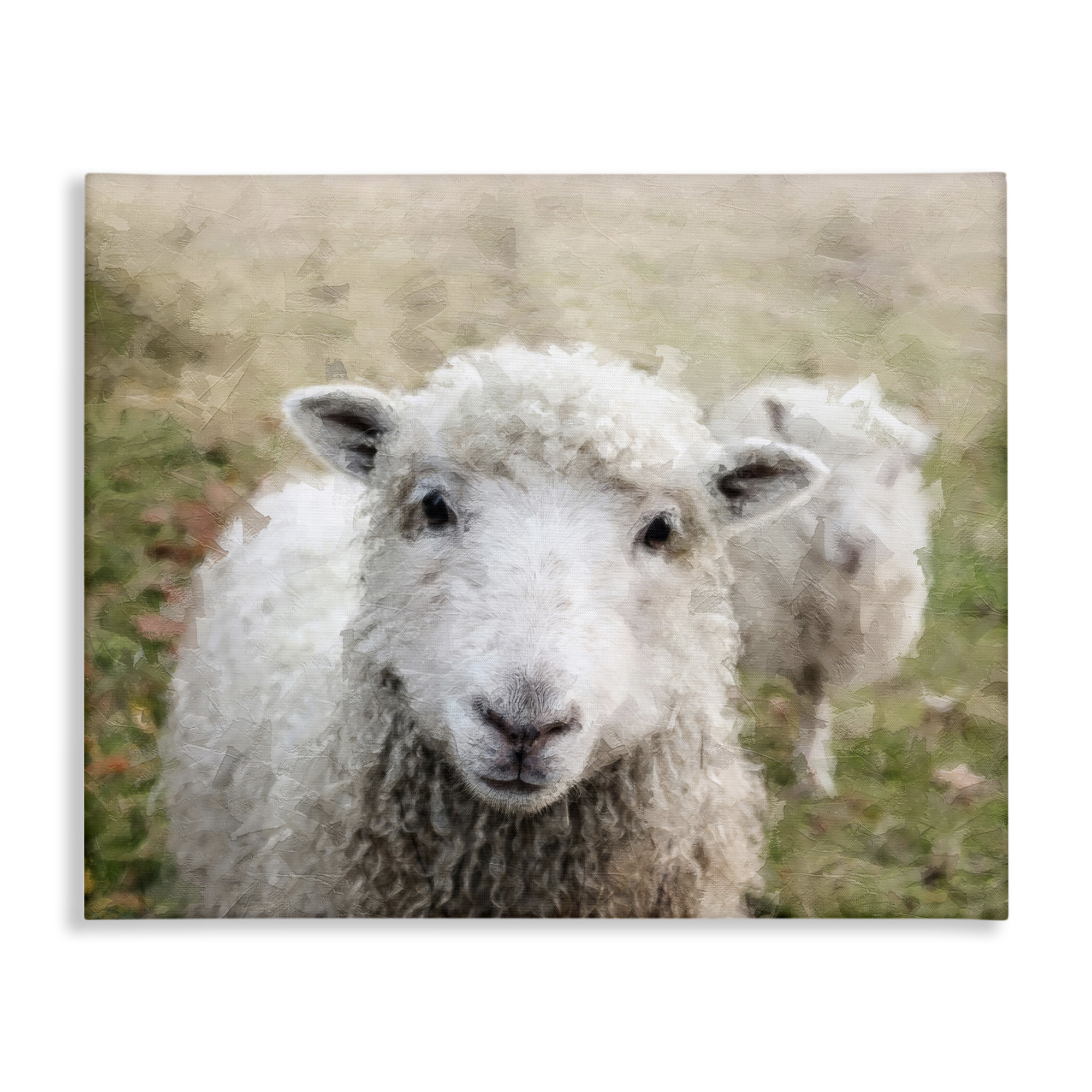 Ophelia & Co. Close Up Sheep Gaze Canvas Wall Art by Sundance Group ...