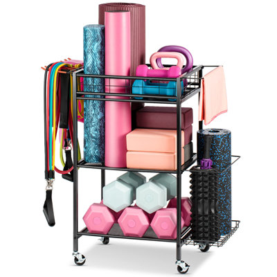 Arlmont & Co. Rosaliyah Metal Freestanding Sports Rack | Wayfair