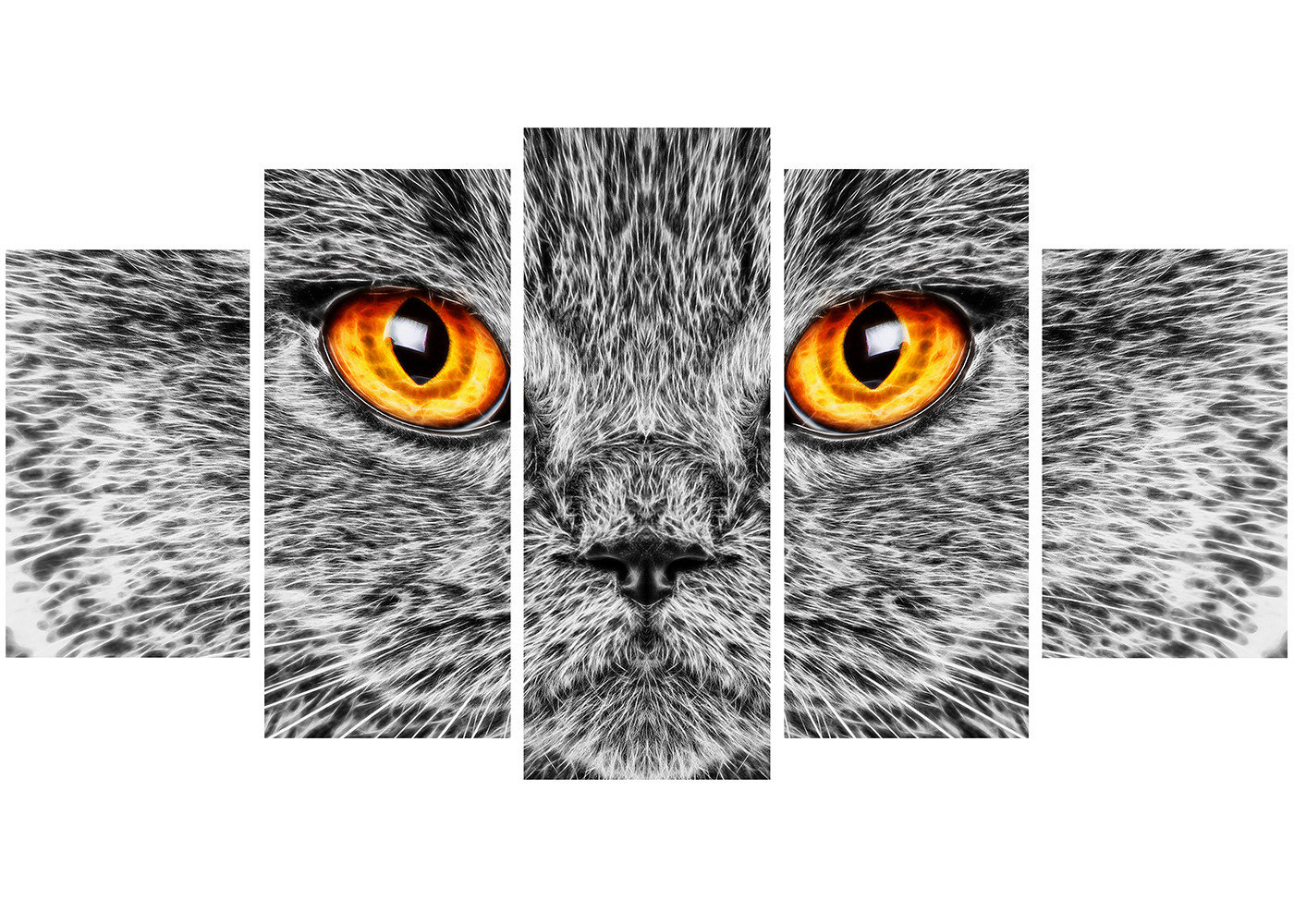 Design Art 'Gray Cat' 5 Piece Graphic Art Set | Wayfair