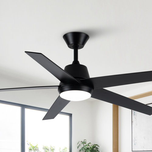 Matte Black Indoor Ceiling Fans You'll Love | Wayfair