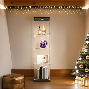 Ivy Bronx Lighted 4 Shelves Glass Cabinet Glass Display Cabinet With ...