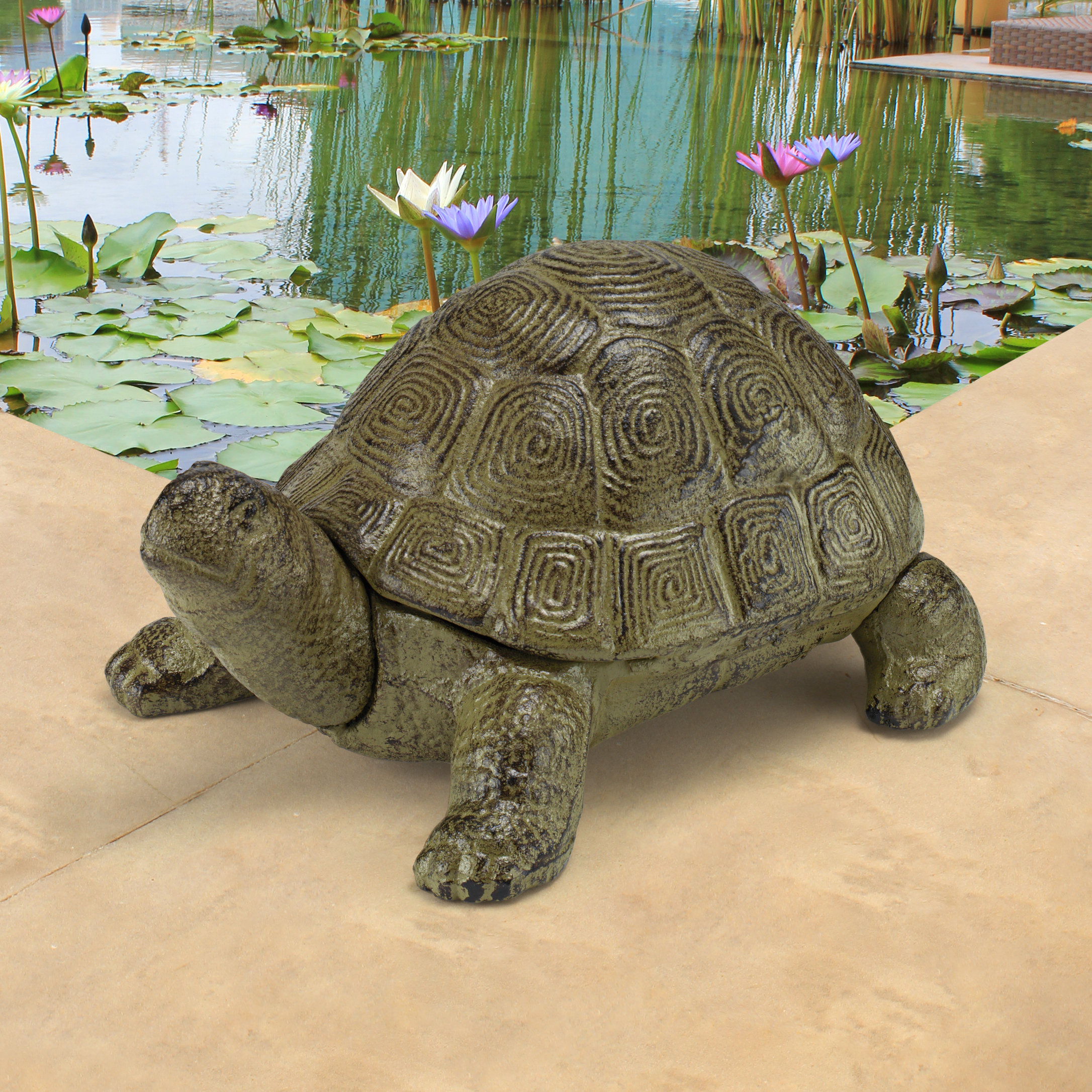 Design Toscano Aesop's Turtle Cast Iron Figurine & Reviews | Wayfair