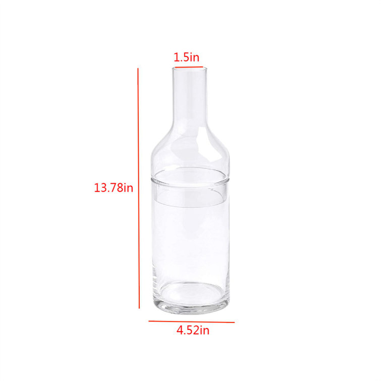 Latitude Run® Glass Bottle Flower Base Plant Pot Home Decor, Succulents ...