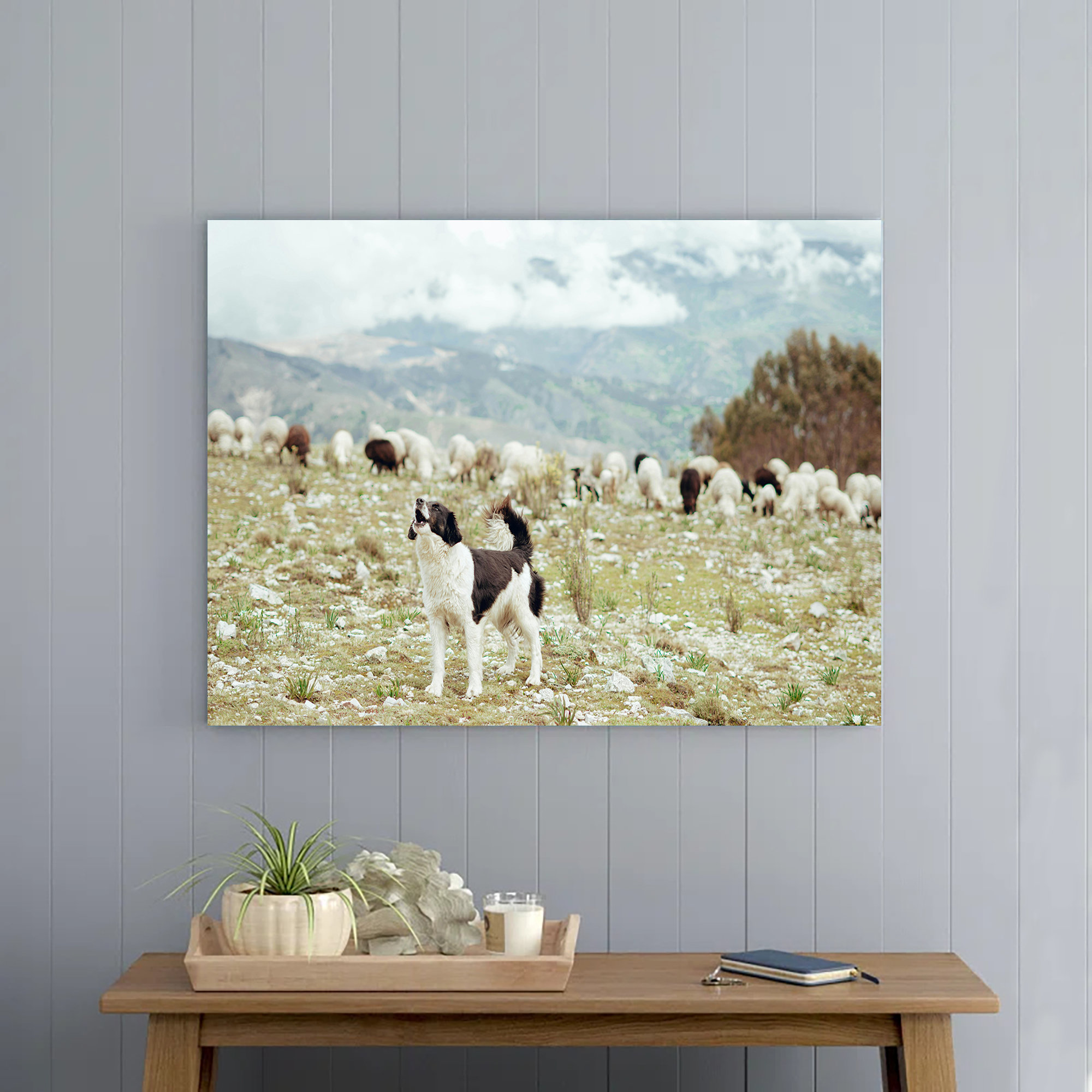 Latitude Run® Dog Howling Grazing Sheep on Pasture | Wayfair