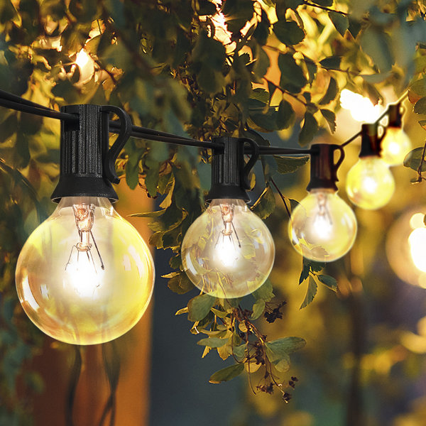 17 Stories Outdoor 25 - Bulb 25'' Plug-in Globe String Light | Wayfair