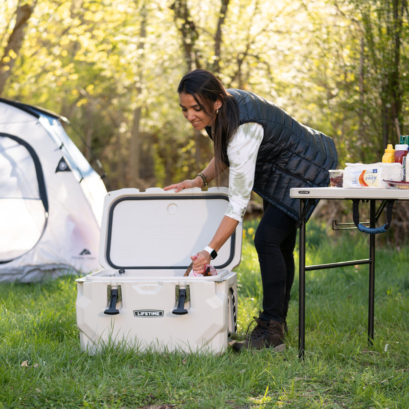 Lifetime 48 Quarts Ice Chest Cooler , Pumice Stone & Reviews | Wayfair