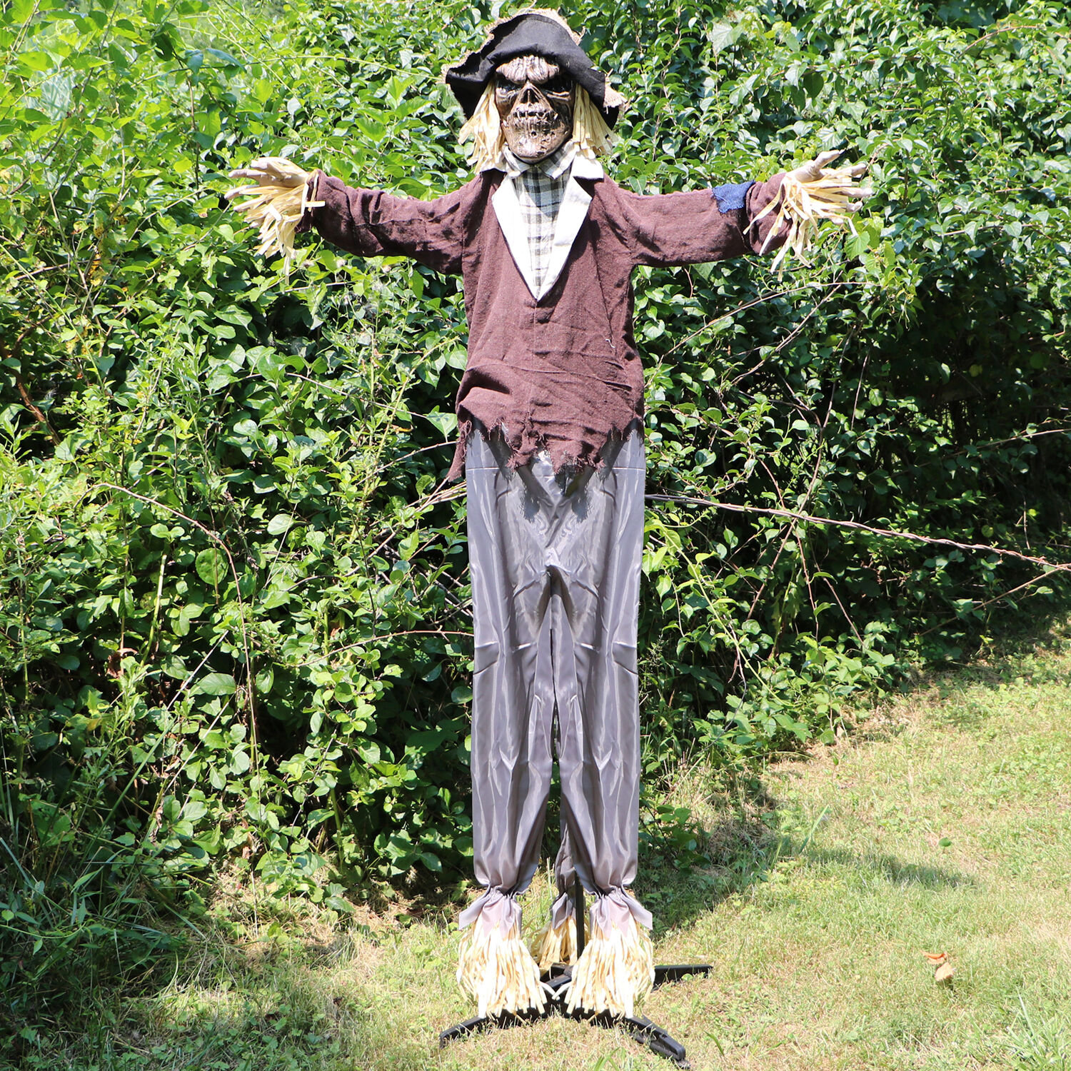 Haunted Hill Farm Standing Scarecrow Figurine | Wayfair
