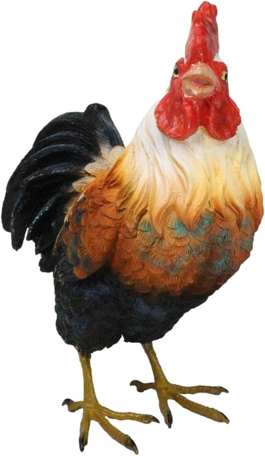 August Grove® Rustic Western Country Farm White Breasted Chicken ...