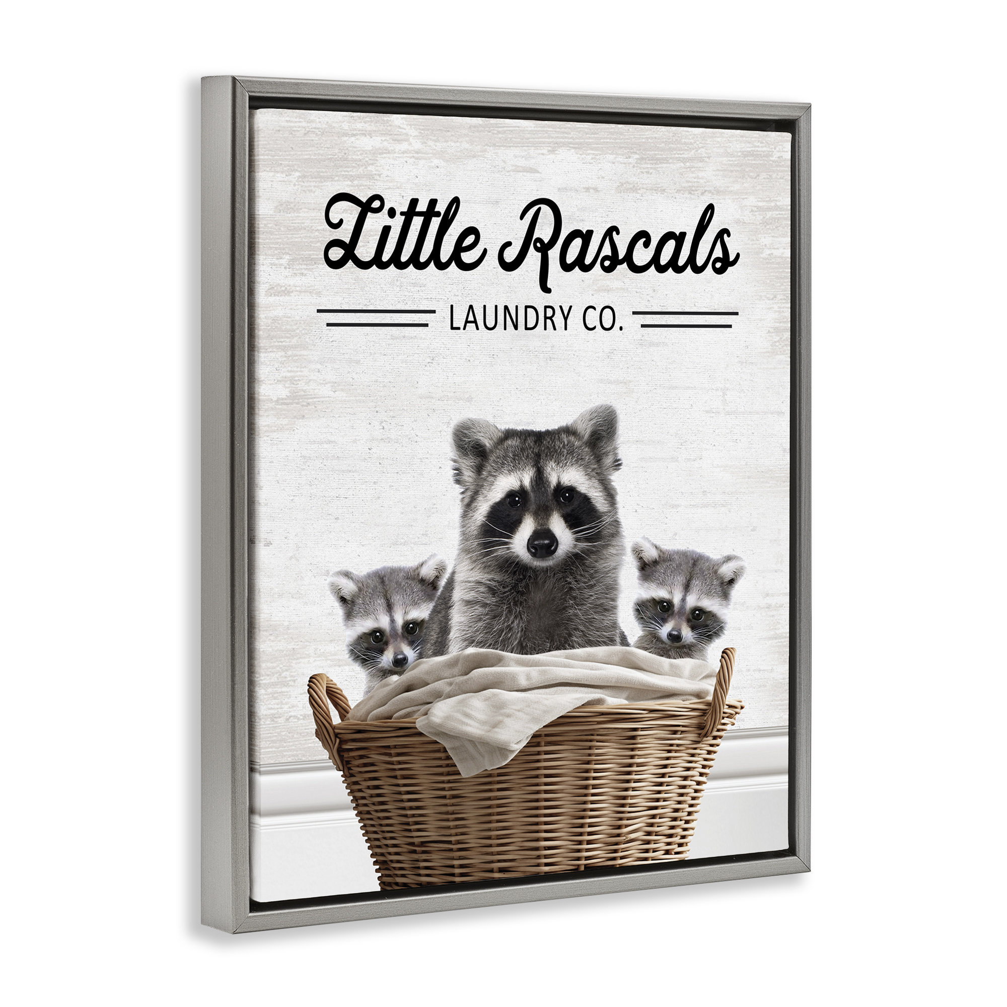 Ophelia & Co. Little Rascals Laundry Raccoons Floating Frame, design by Lettered and Lined | Wayfair